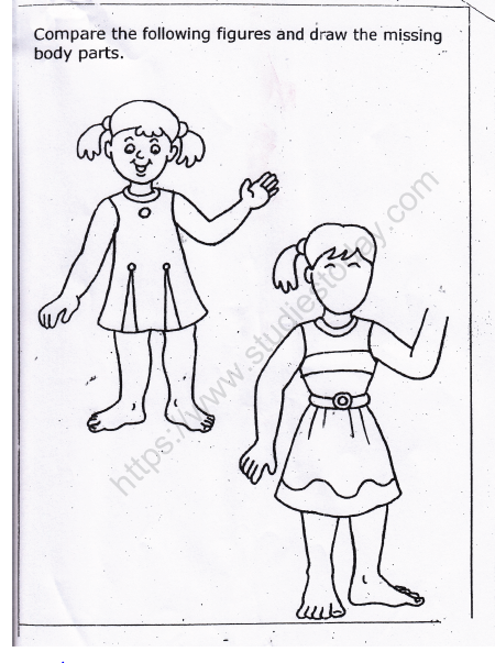 CBSE Class 1 EVS Our Body And Cleanliness Worksheet